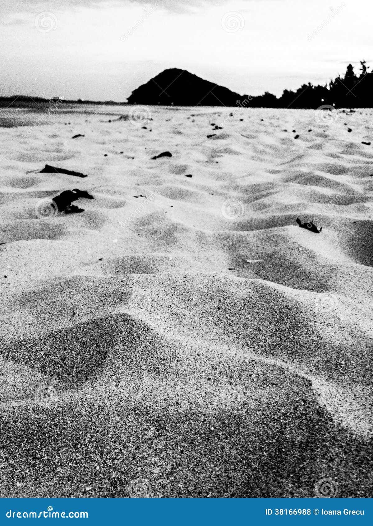 Fine Sand Ambient Occlusion Map Texture, Grayscale AO Map Royalty-Free ...