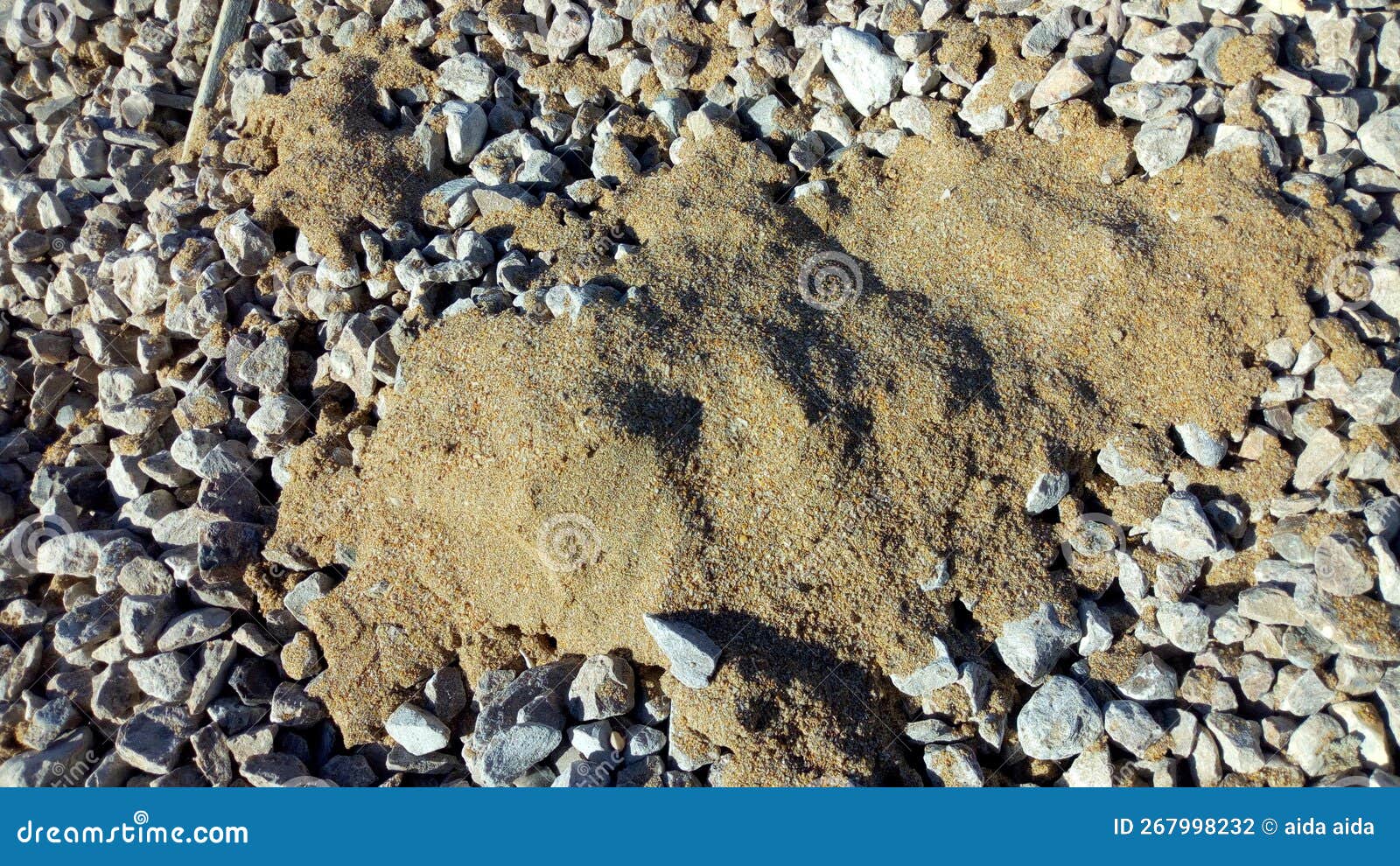 Fine sand and fine gravel stock photo. Image of invertebrate - 267998232