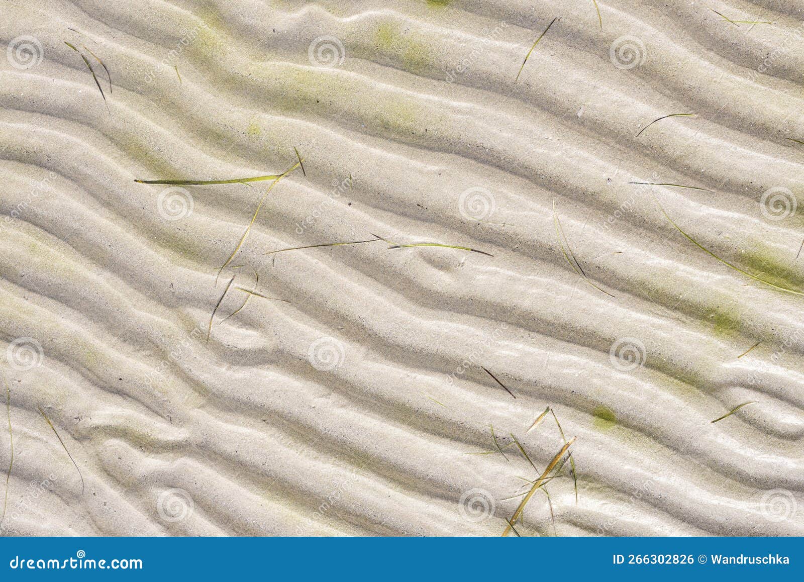 A Fine Sandy Beach with Nice Structure Stock Photo - Image of material ...