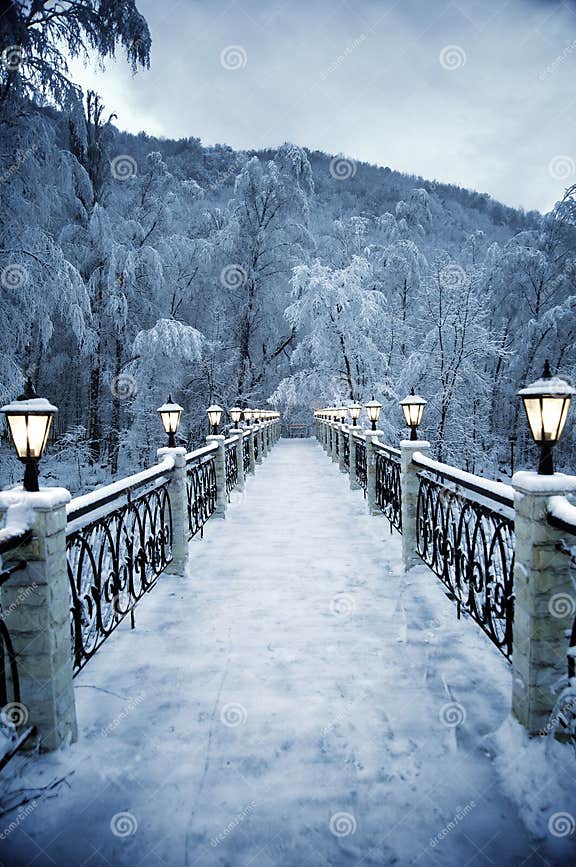 The Fine Snow Evening in Mountains Stock Photo - Image of calm, light ...