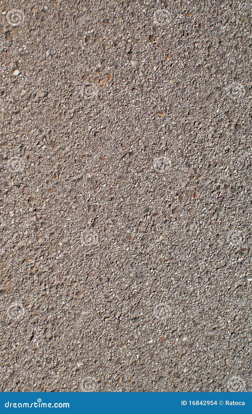 Fine soil stock photo. Image of fallow, environment, botany - 16842954