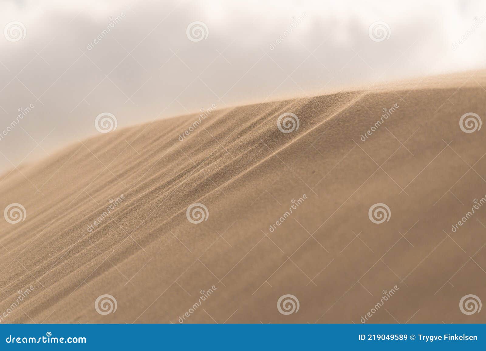 Fine Texture and Lines of Sandy Dunes in a Desert. Stock Image - Image ...