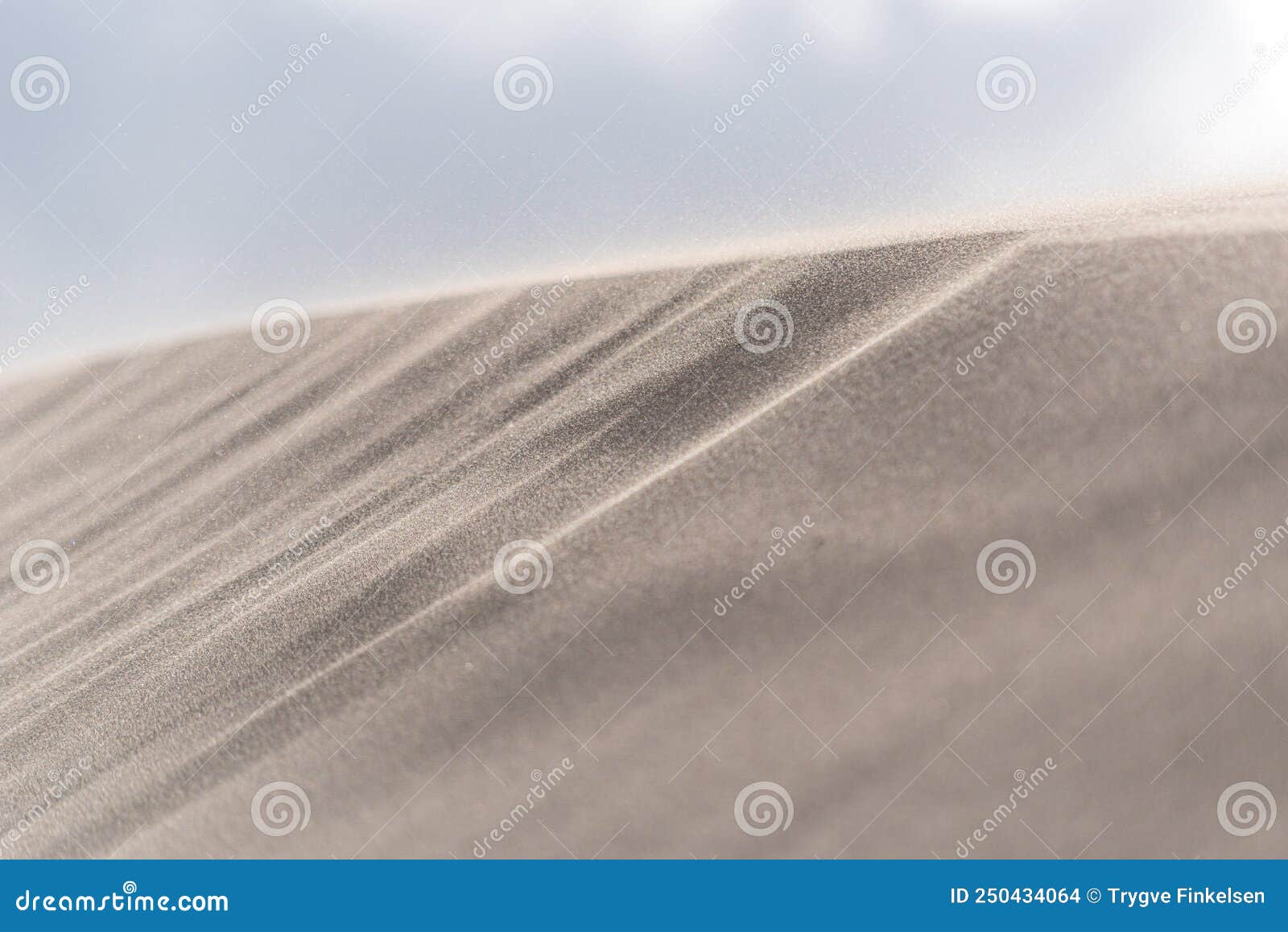Fine Texture and Lines of Sandy Dunes in a Desert.. Stock Photo - Image ...