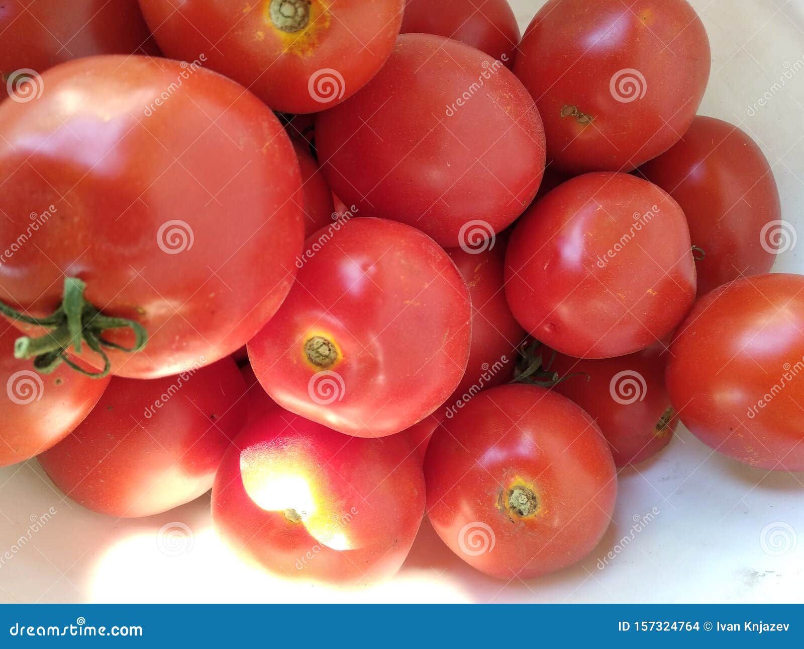 Fine Tomatoes from Kherson Region Ukraine Stock Photo - Image of ...