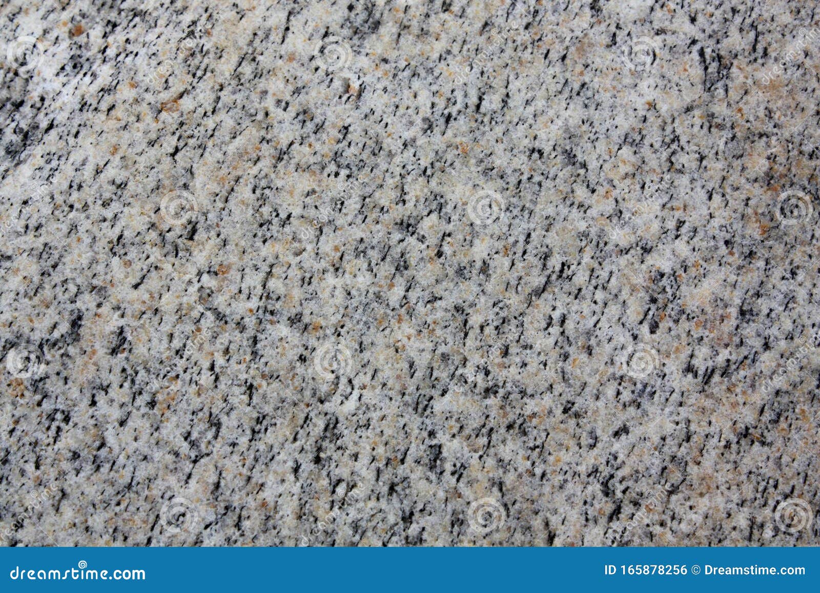 Fine Uniform Texture of the Stone. Gray Granite Slab. Natural Diffused ...