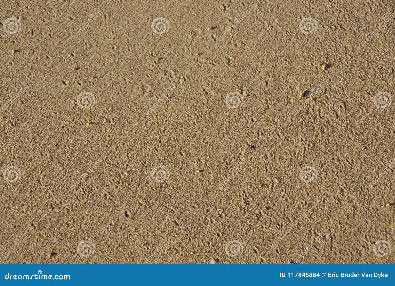 Fine Grain Beach Sand from Beach Stock Photo - Image of closeup, long ...