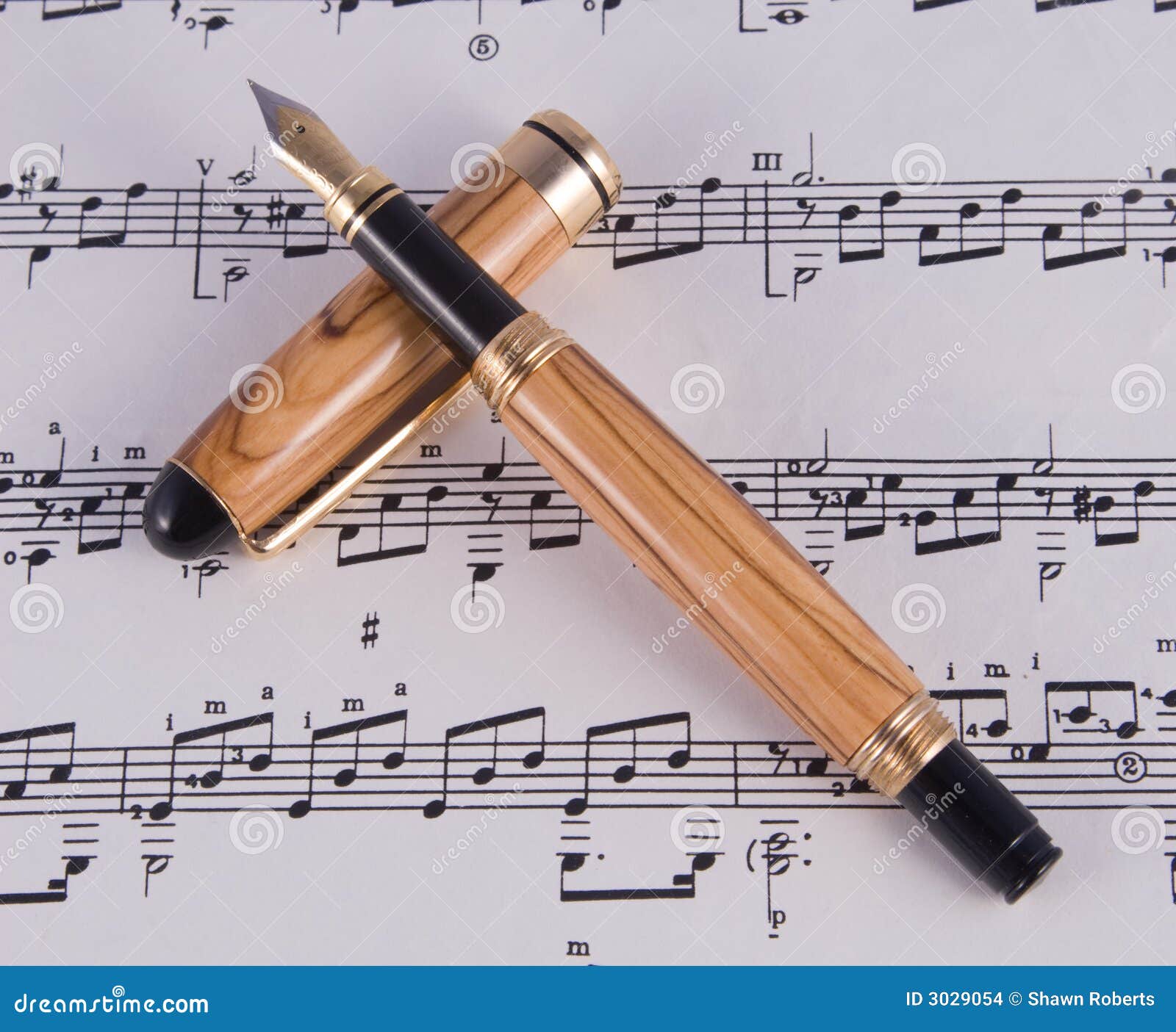 Fine Writing Instrument stock photo. Image of instrument - 3029054