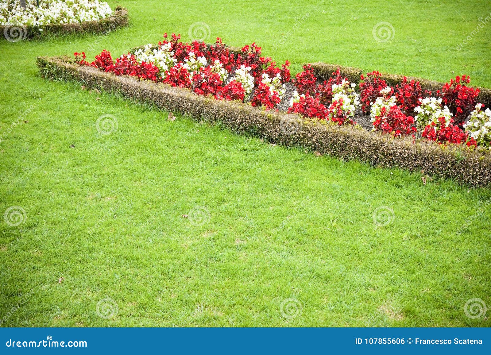 A Finely Manicured Garden Shows Its Colours Stock Photo - Image of ...