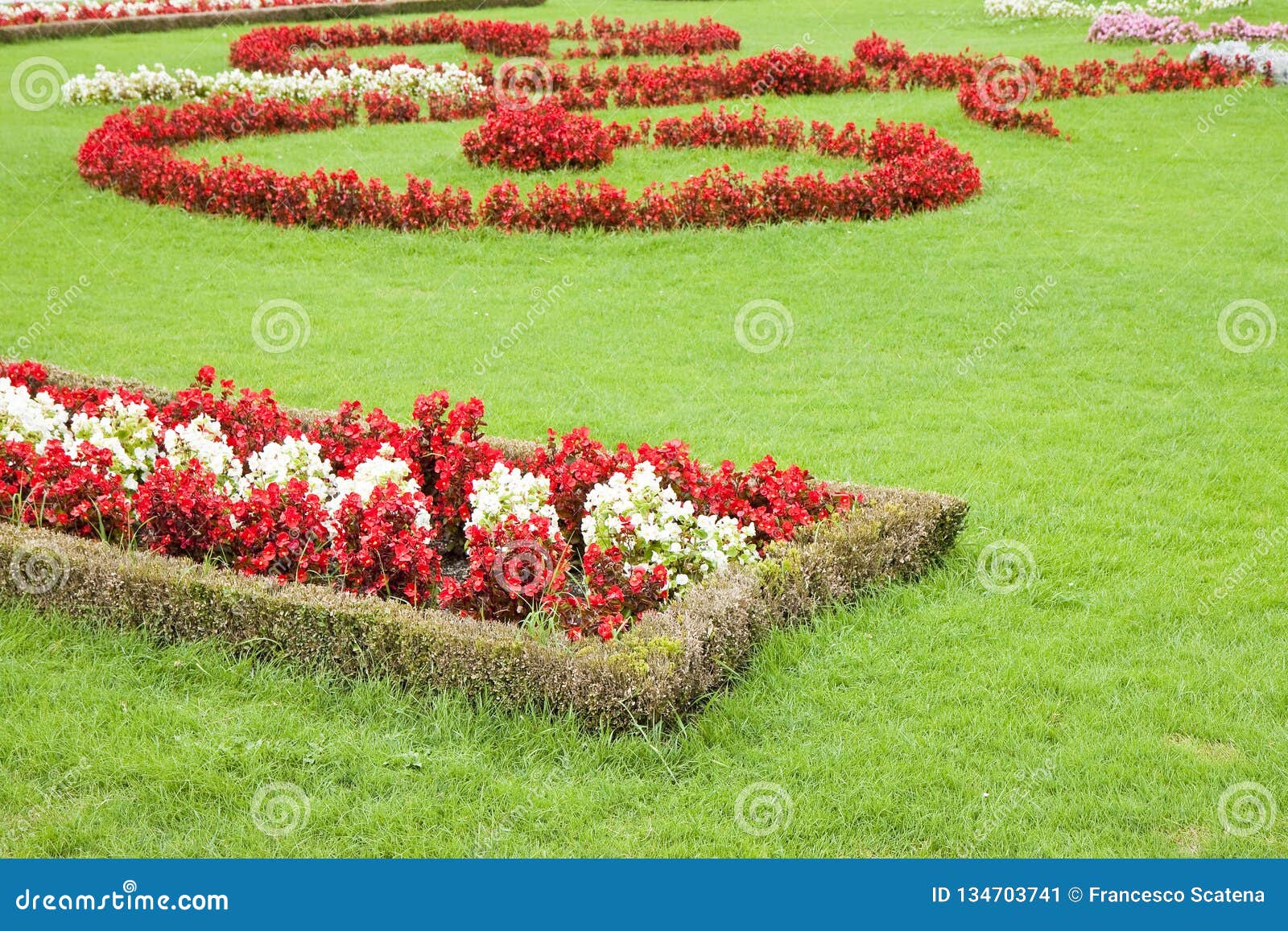 A Finely Manicured Garden Shows Its Colours Stock Image - Image of ...