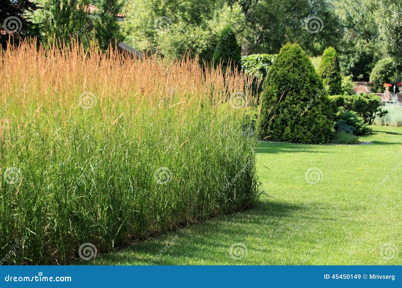 Finely manicured lawn stock image. Image of lawn, culture - 45450149