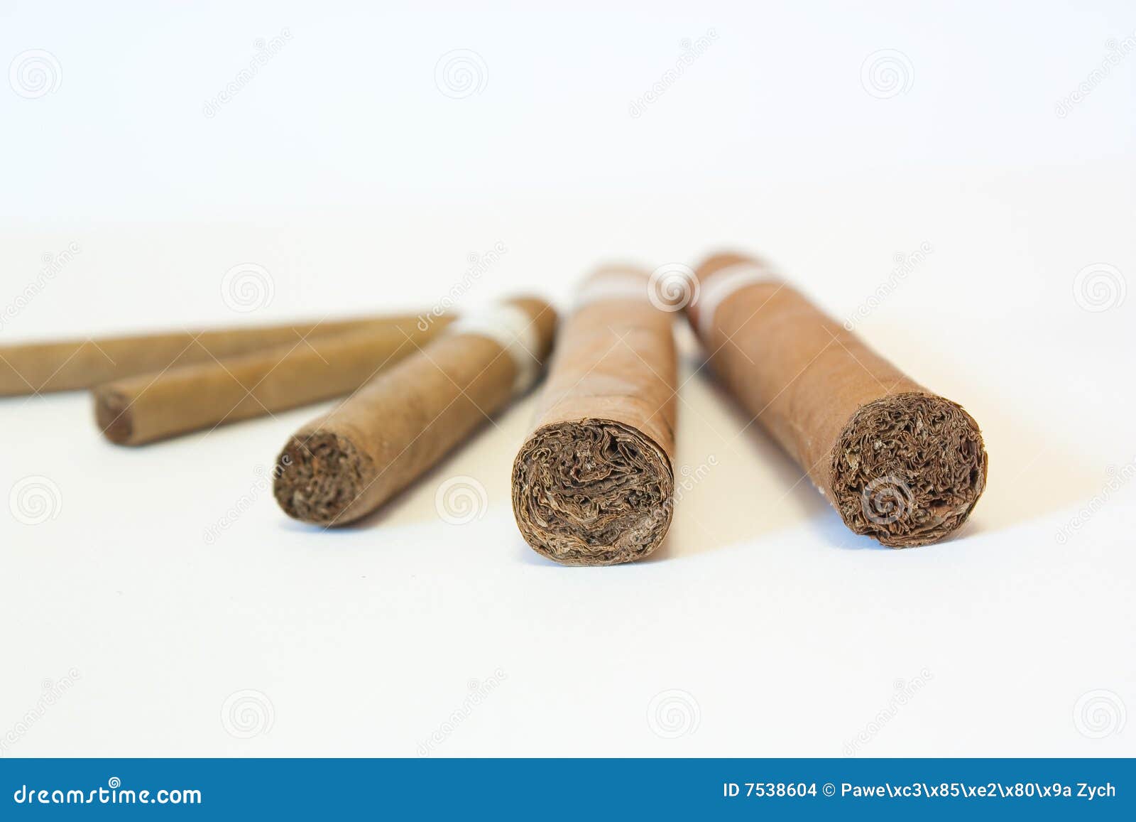 Finest cuban cigars stock photo. Image of care, leisure - 7538604