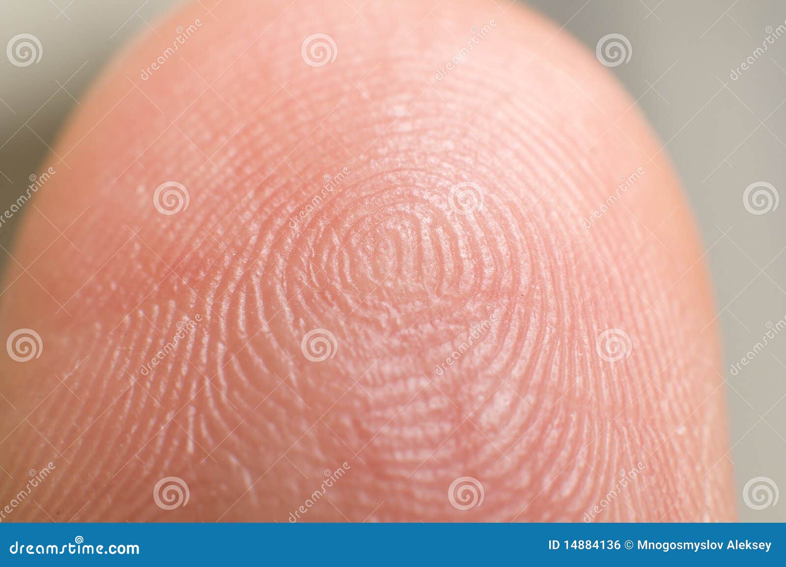 Finger stock photo. Image of close, finger, macro, closeup - 14884136