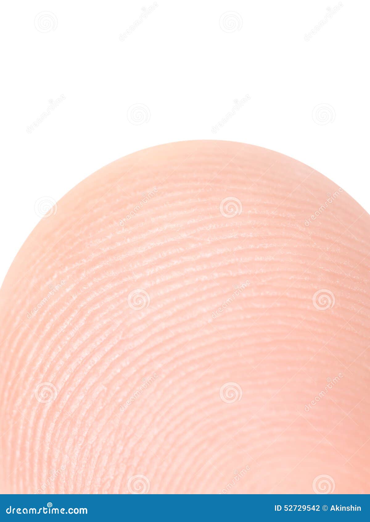 Finger Close-up, Papillary Lines Stock Photo - Image of anatomy ...