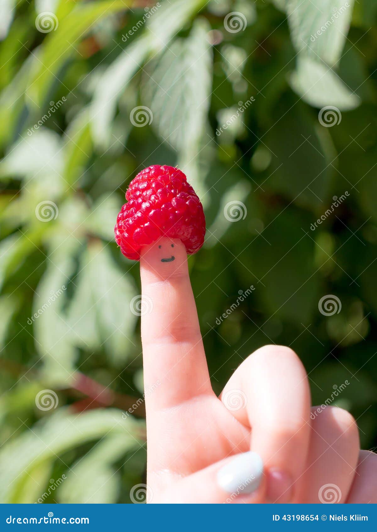 Finger doll of a raspberry stock photo. Image of cheerful - 43198654