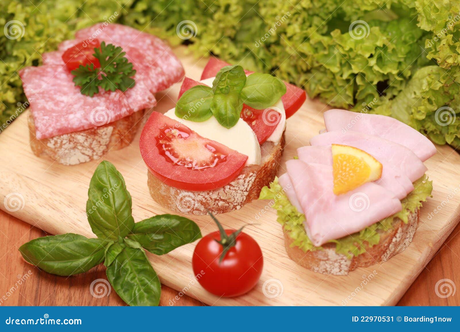 Finger food stock image. Image of starter, cheese, snack - 22970531