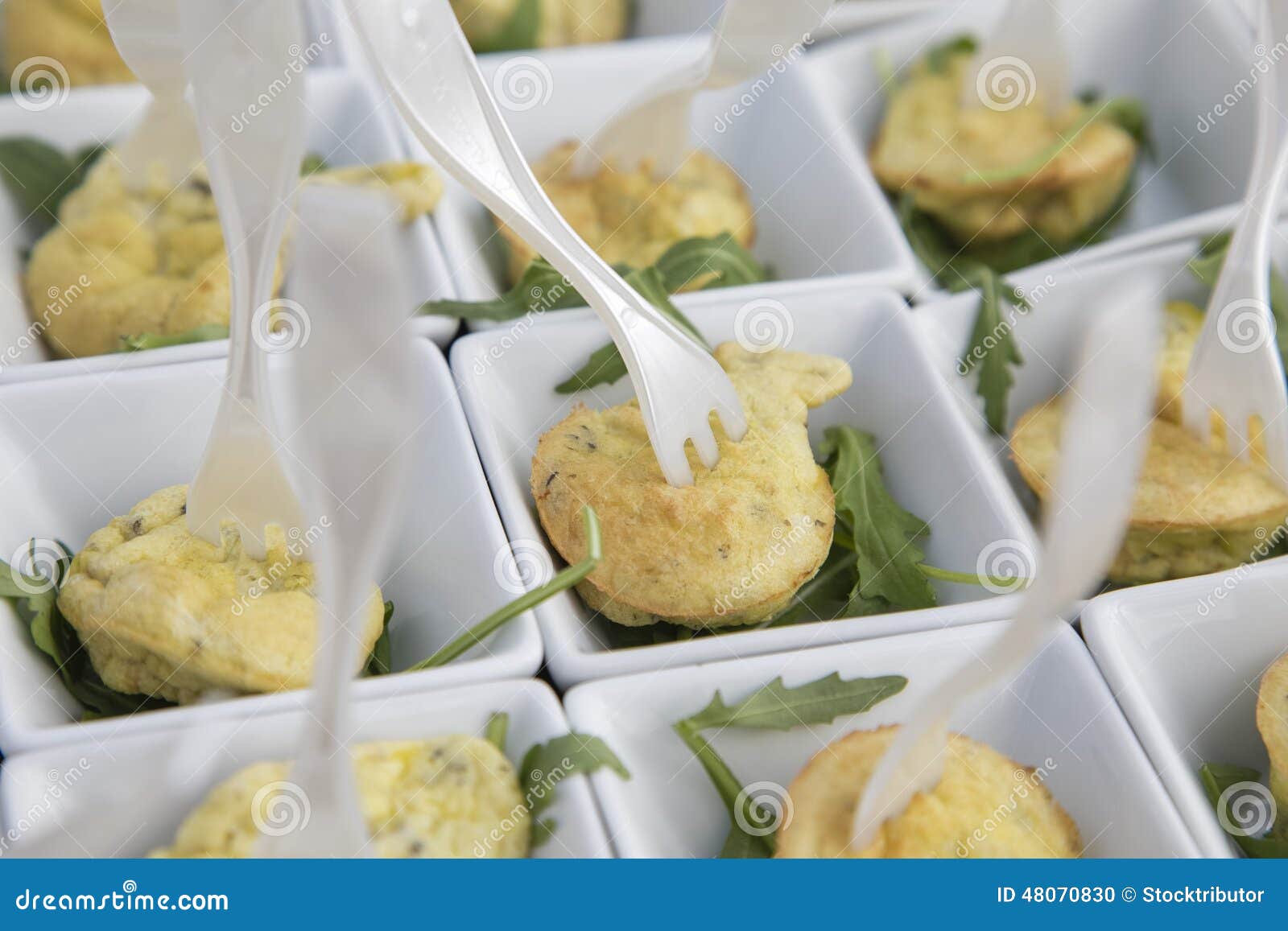 Finger foods stock photo. Image of finger, freshness - 48070830