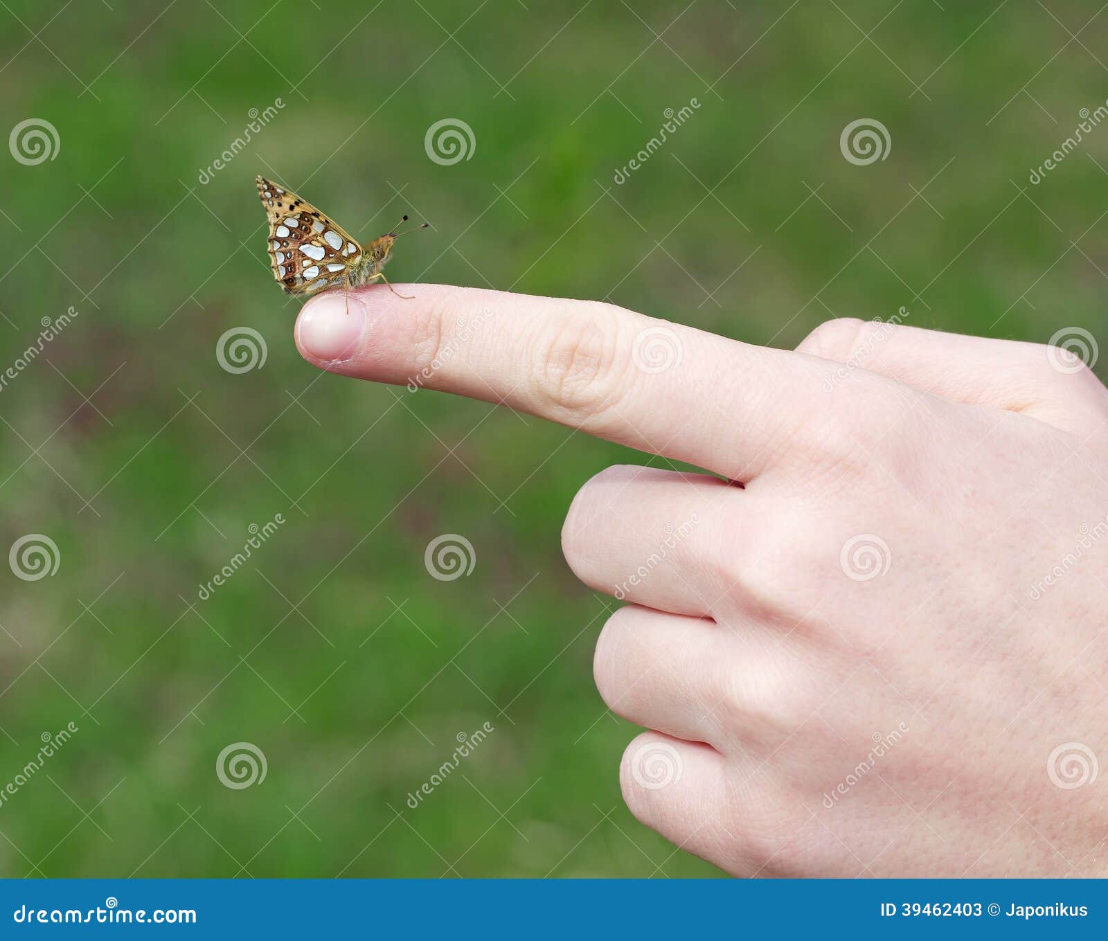 Finger holding a butterfly stock image. Image of green - 39462403