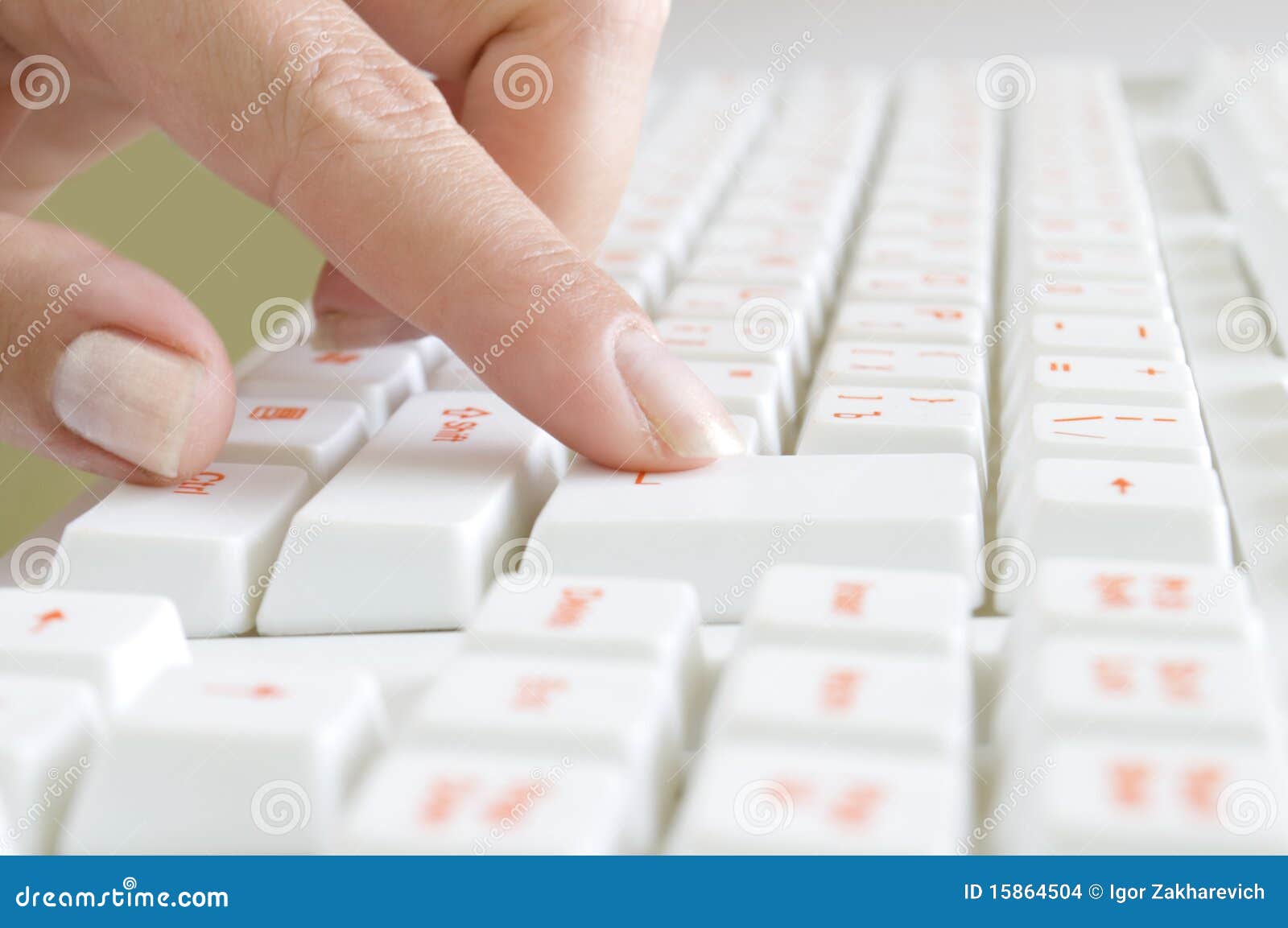 Finger on the keyboard stock photo. Image of hand, business - 15864504
