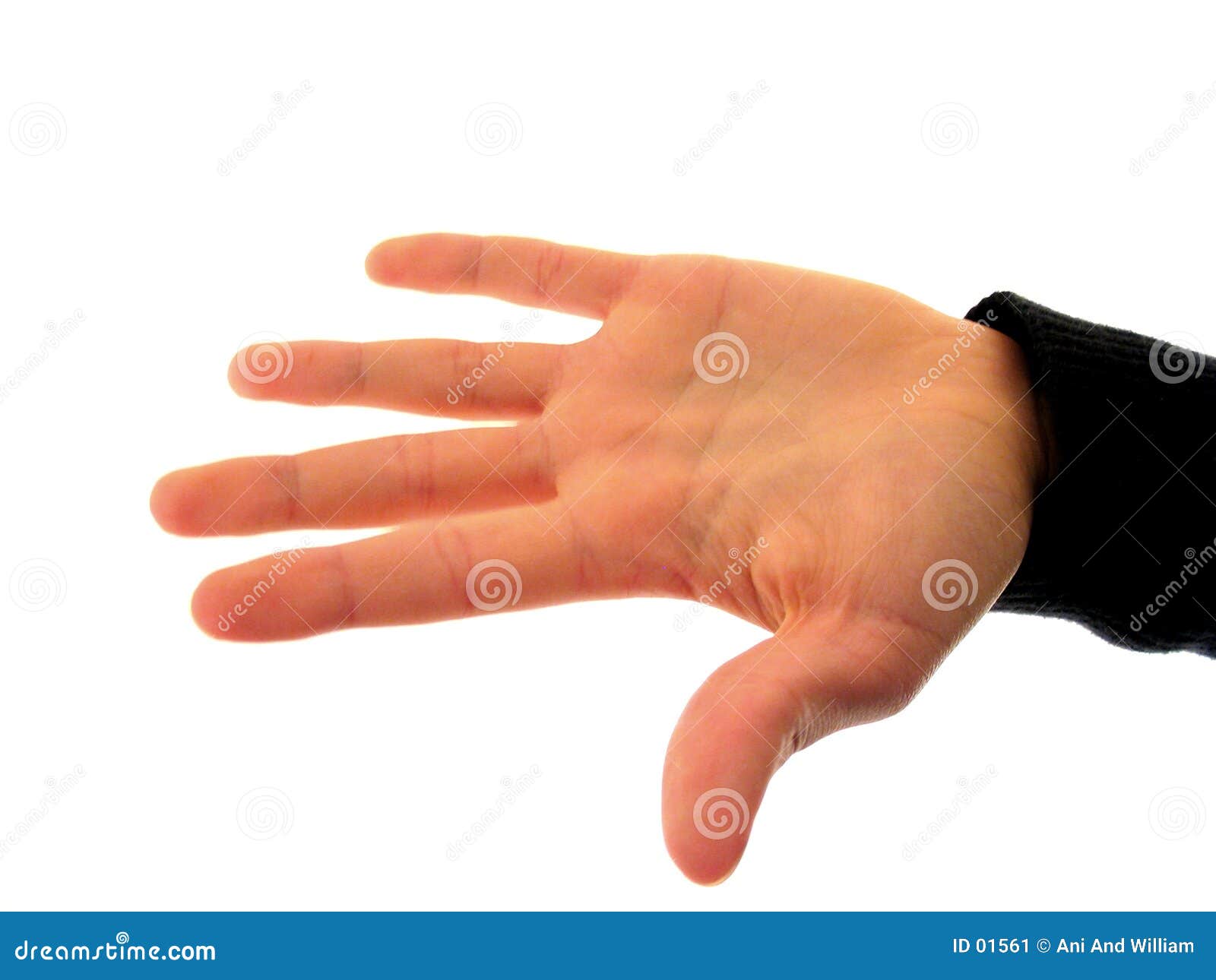 Finger numbers 5 stock image. Image of numbers, five, prohibits - 1561