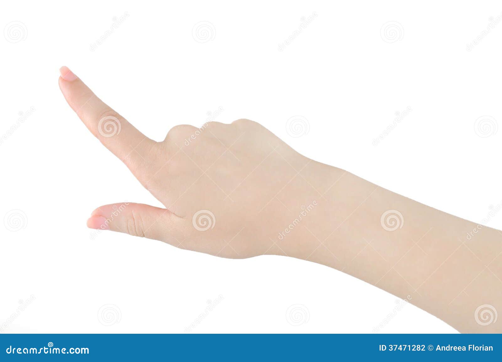 Finger Pointing At Finite Element Model With H-Adaptive Meshing ... Finger Pointing At Finite Element Model With H-Adaptive Meshing ...