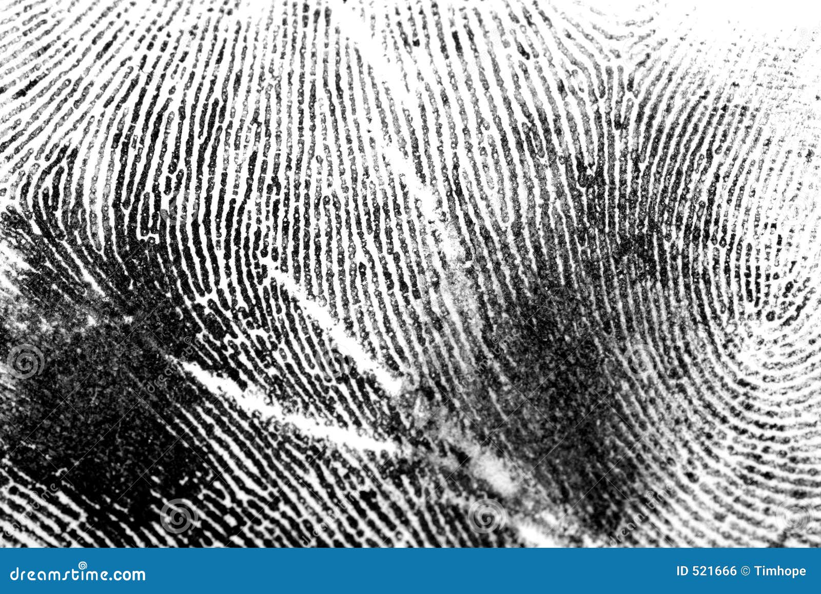 Finger print 1 stock illustration. Illustration of shape - 521666