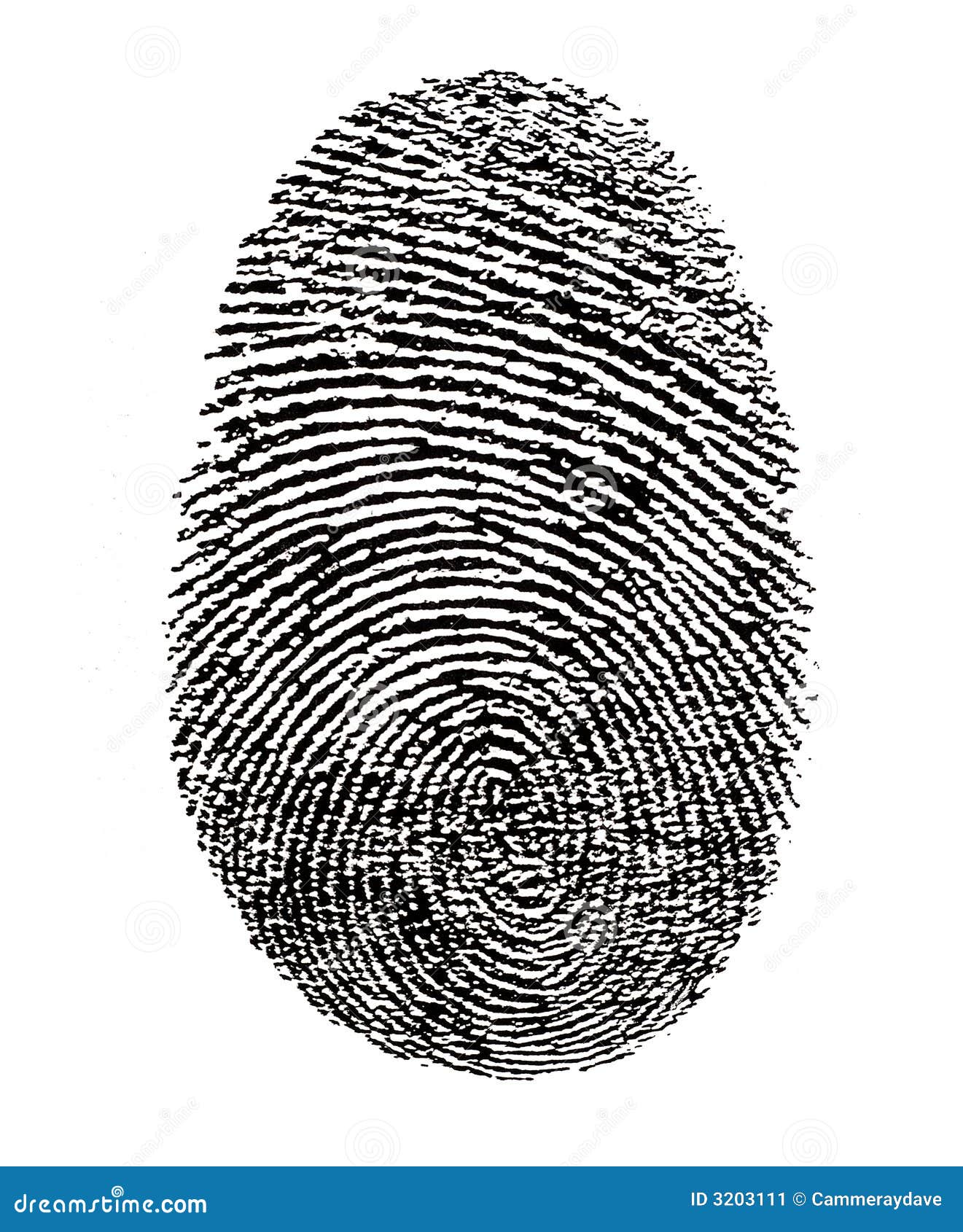 Finger Print ID Security stock image. Image of clues, evidence - 3203111
