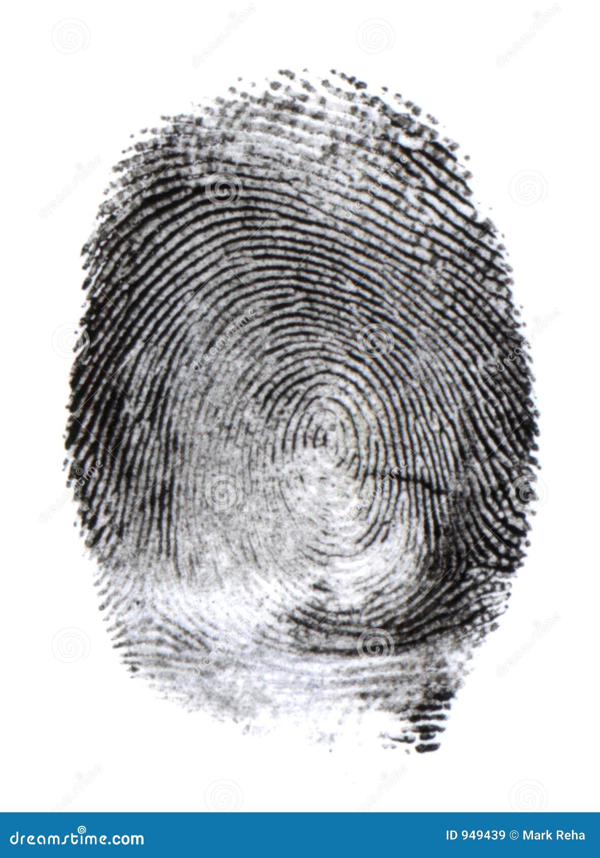 Finger Print stock image. Image of finger, safety, identity - 949439