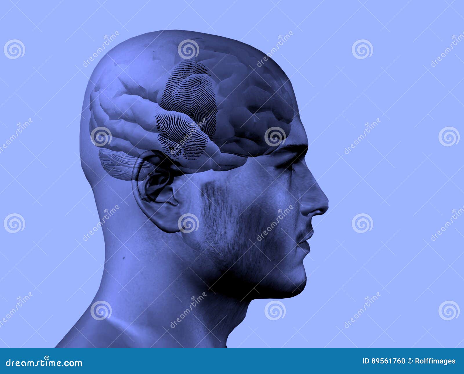 Finger Print on brain stock illustration. Illustration of created ...