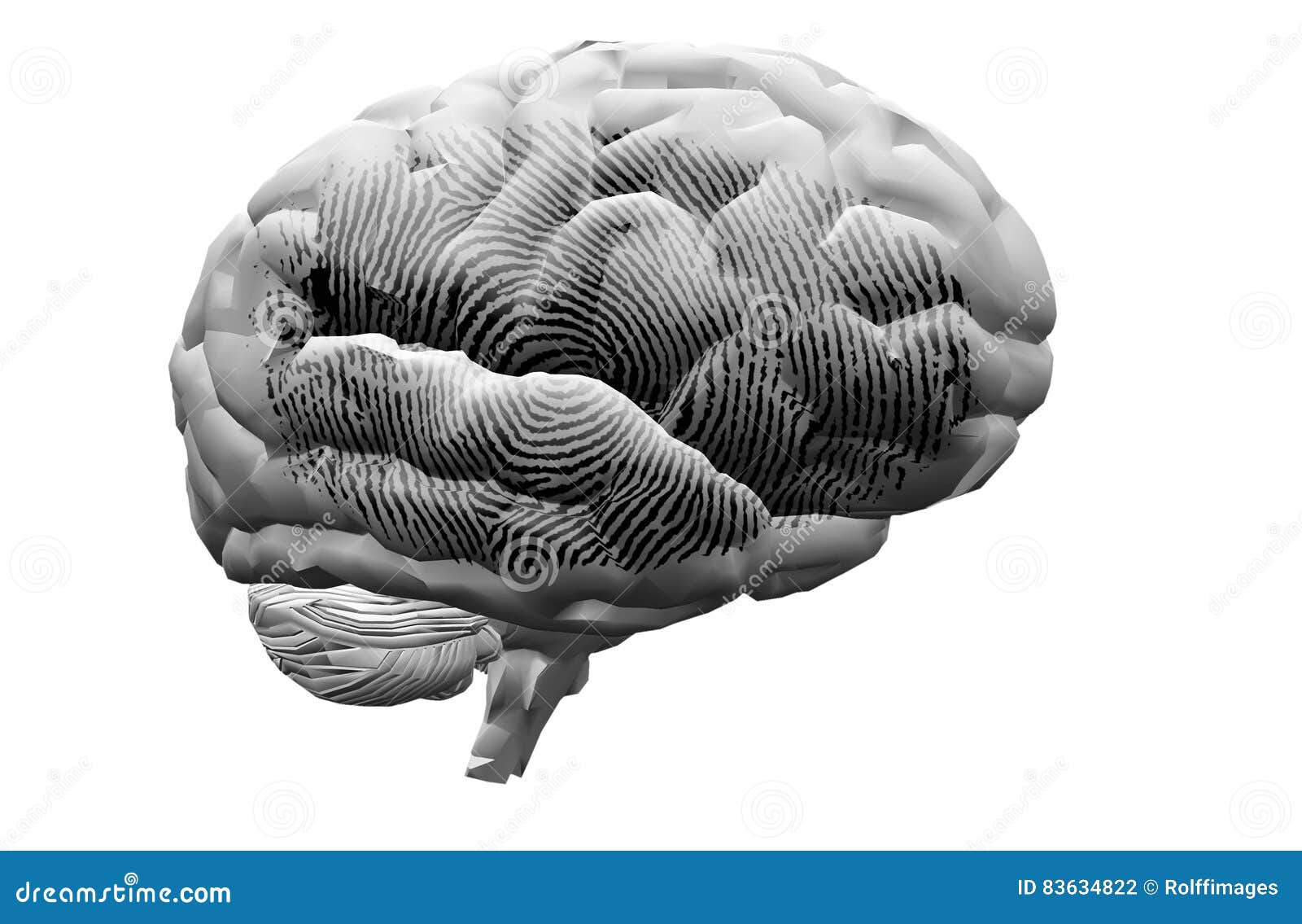 Finger Print on brain stock illustration. Illustration of head - 83634822