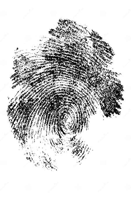 Finger print in close up stock illustration. Illustration of close ...