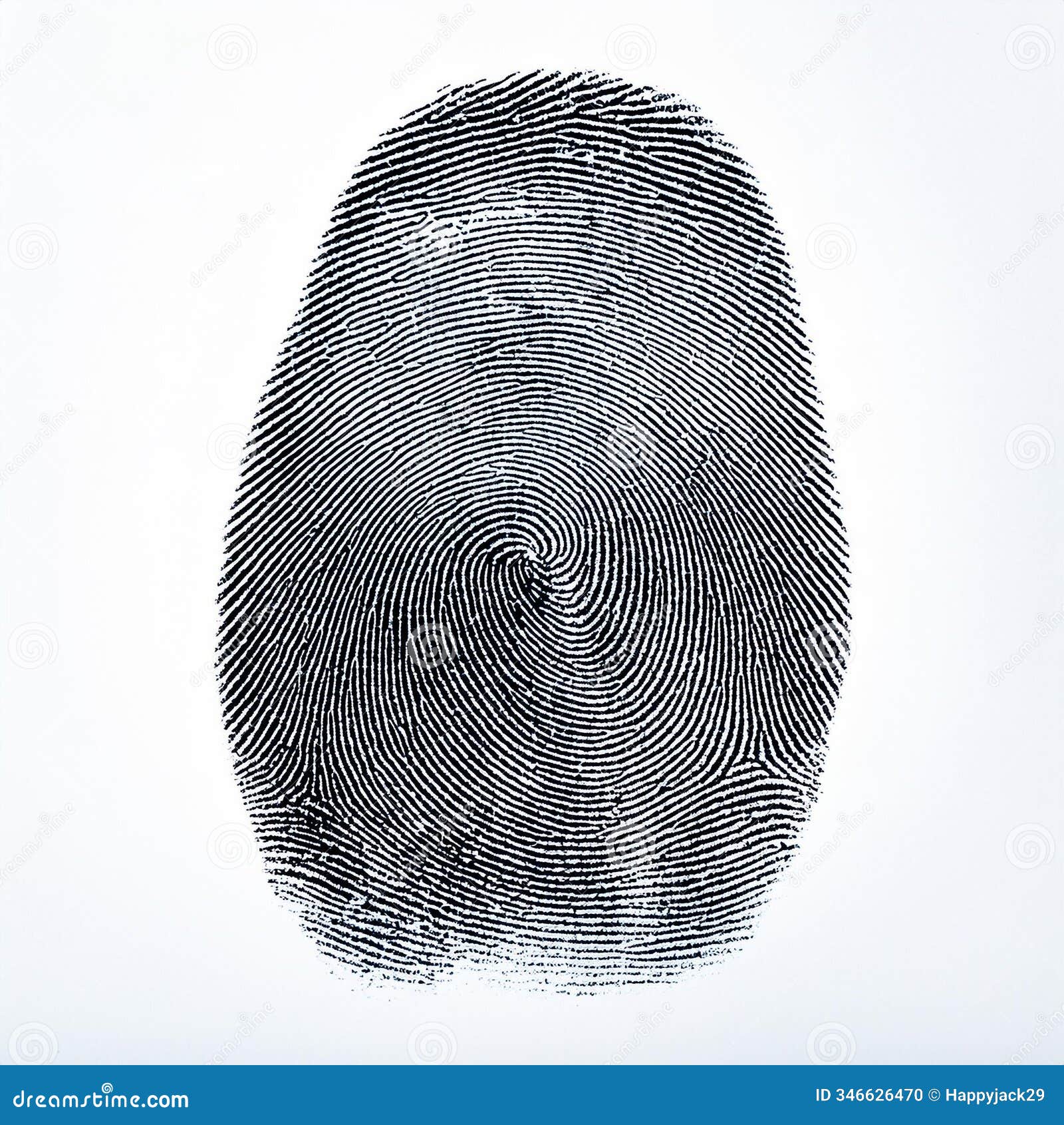 Finger Print Texture on White Background. Uniquely Intricate ...