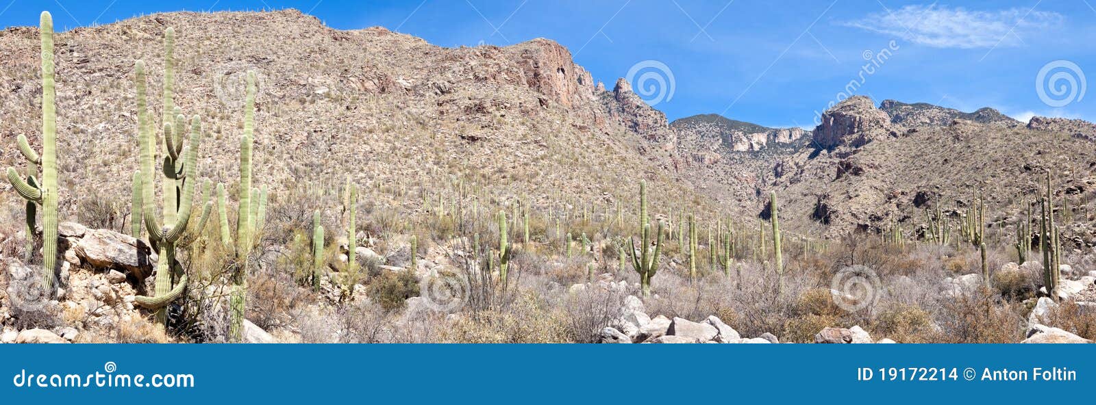 Finger Rock stock photo. Image of trail, arizona, ocotillo - 19172214