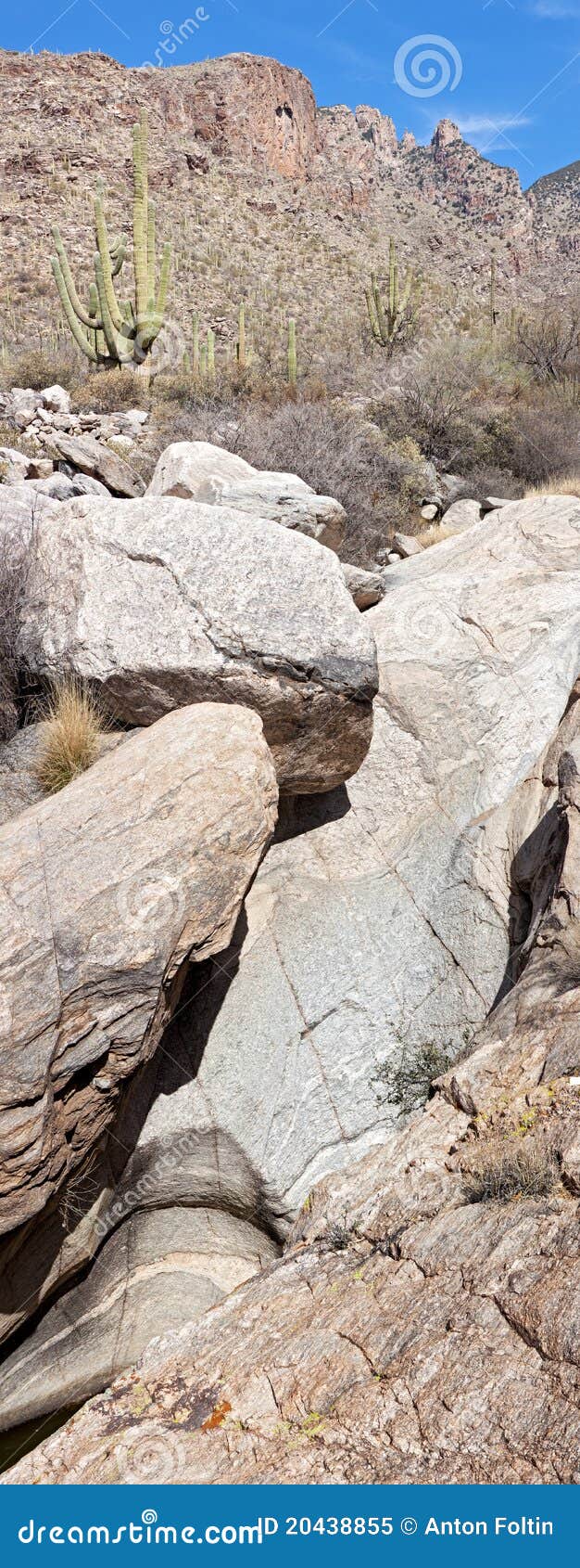 Finger Rock Canyon stock image. Image of national, forest - 20438855