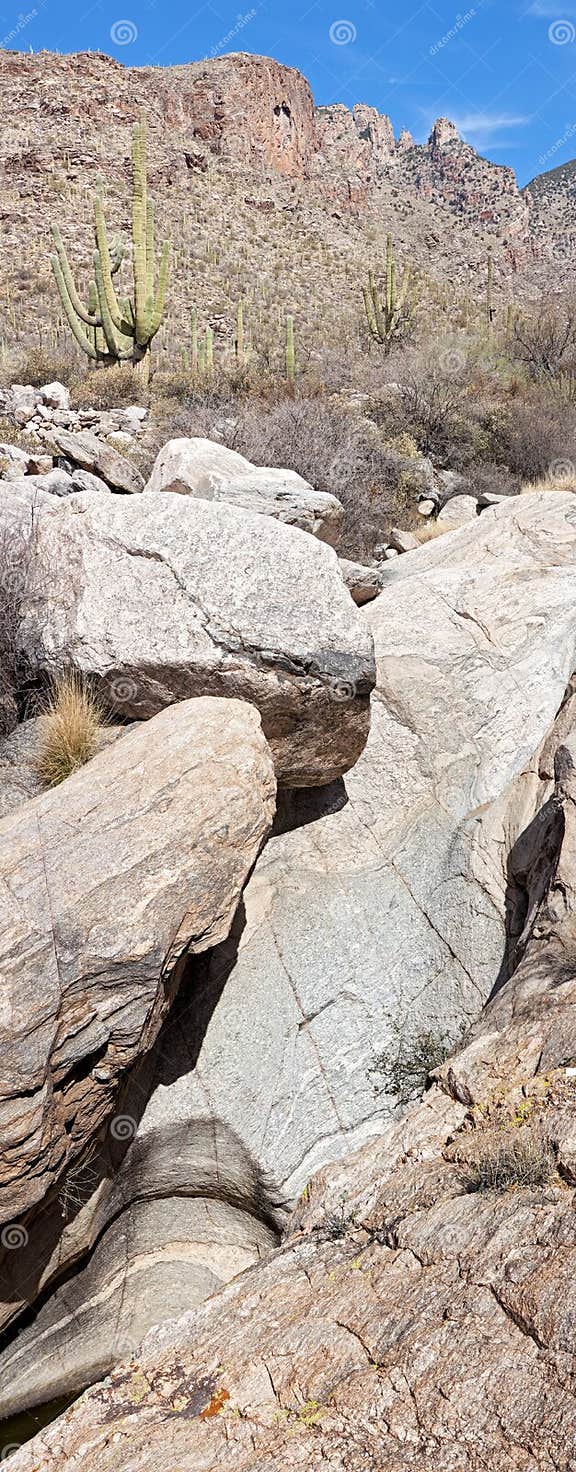 Finger Rock Canyon stock image. Image of national, forest - 20438855