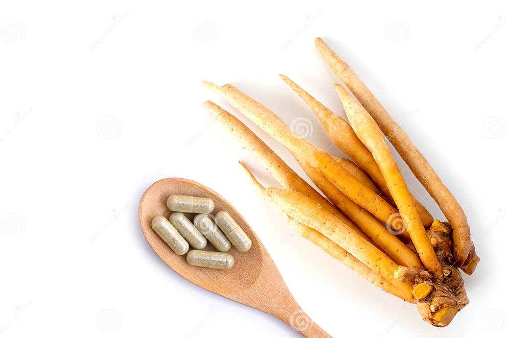 Fingerroot powder capsule stock image. Image of herbs - 192394993