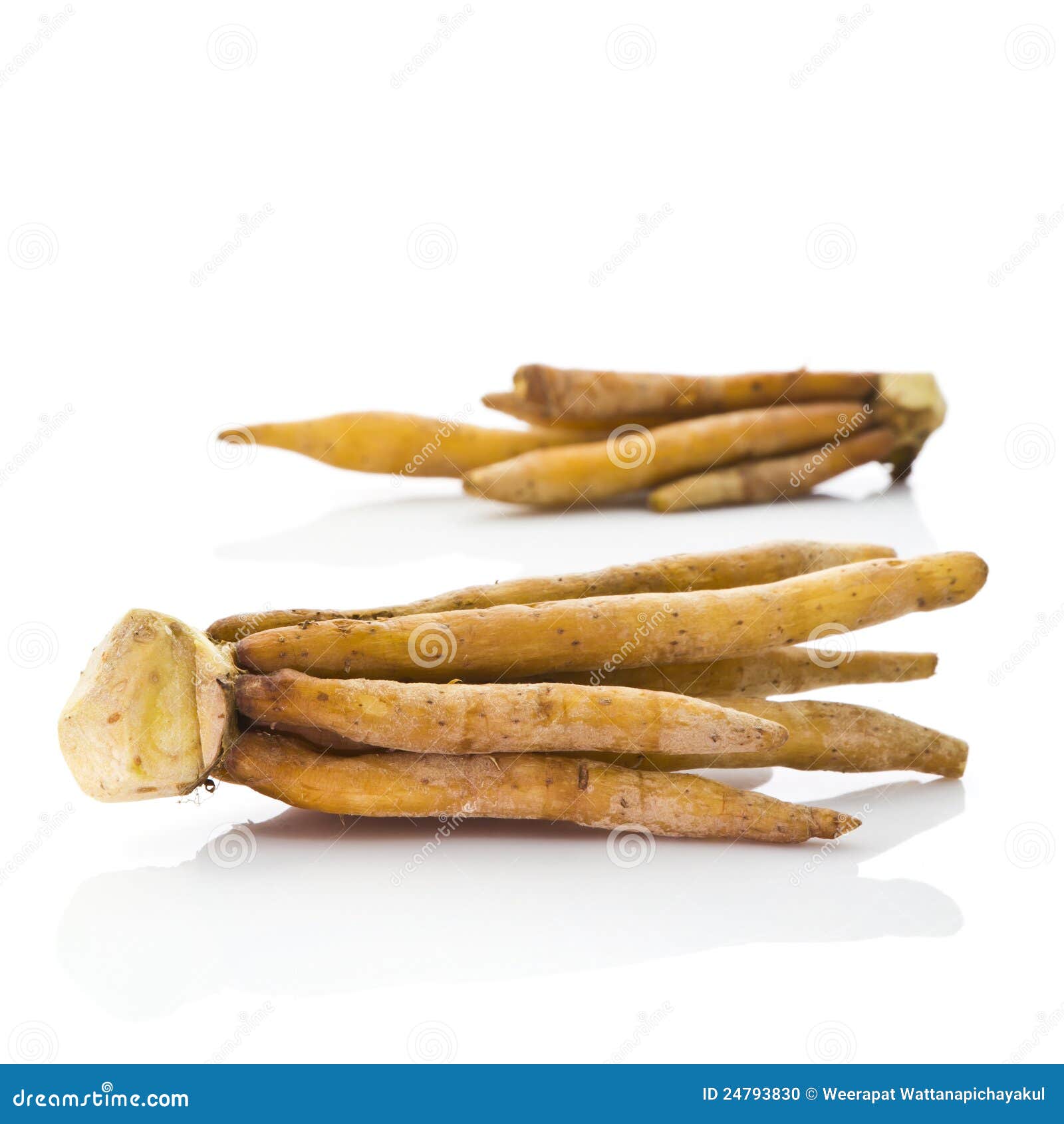 Finger Root Or Chinese Ginger Boesenbergia Rotunda A Medicinal And ...