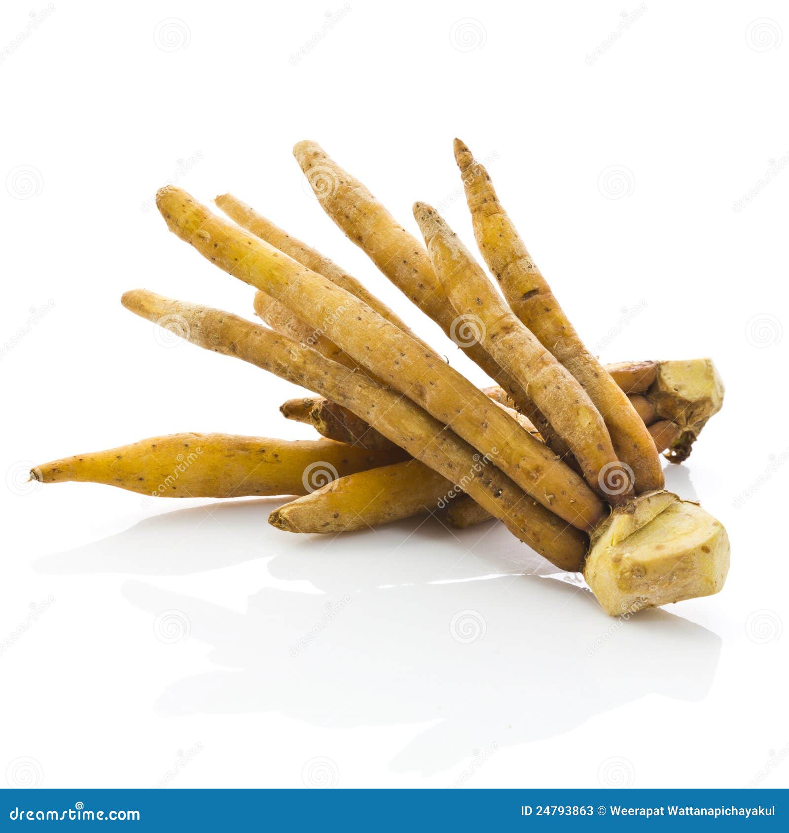 Finger Root With Fresh Andrographis Paniculata Stock Image ...