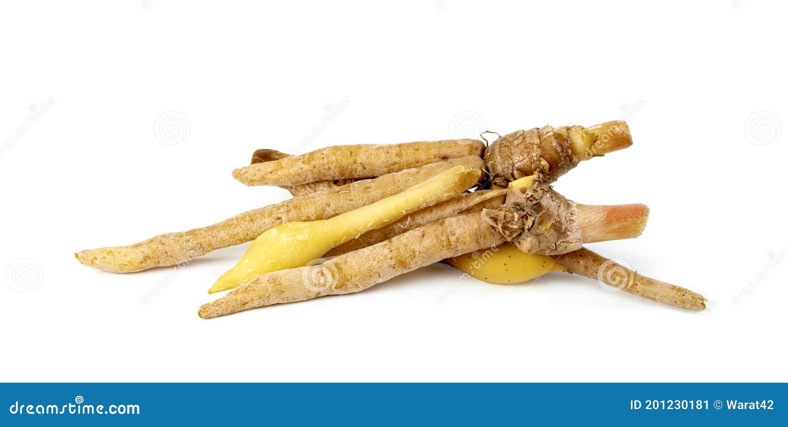 Finger Root or Chinese`s Ginger Isolated on the White Background Stock ...