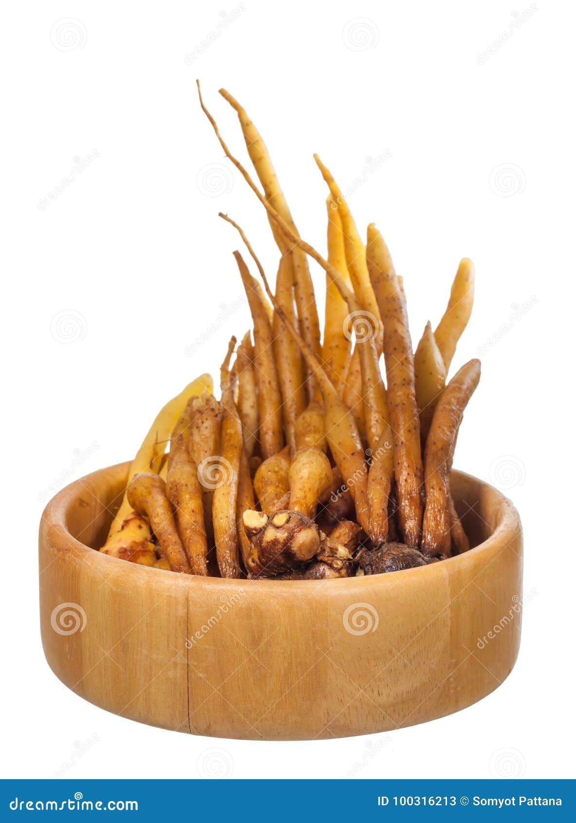 Finger Root stock image. Image of plant, boesenbergia - 100316213