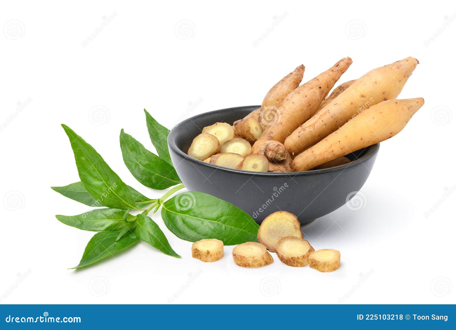 Finger Root with Fresh Andrographis Paniculata Leaf Stock Photo - Image ...