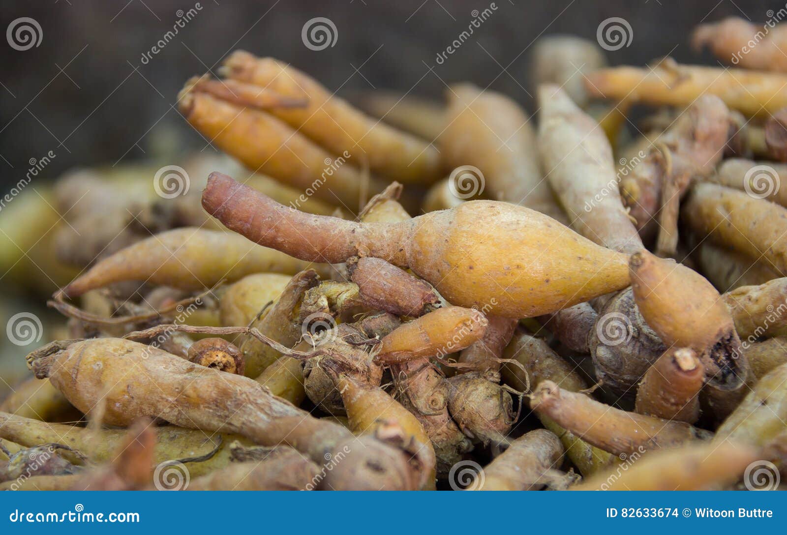 Finger-root in Fresh Market, Stock Photo - Image of herb, asian: 82633674
