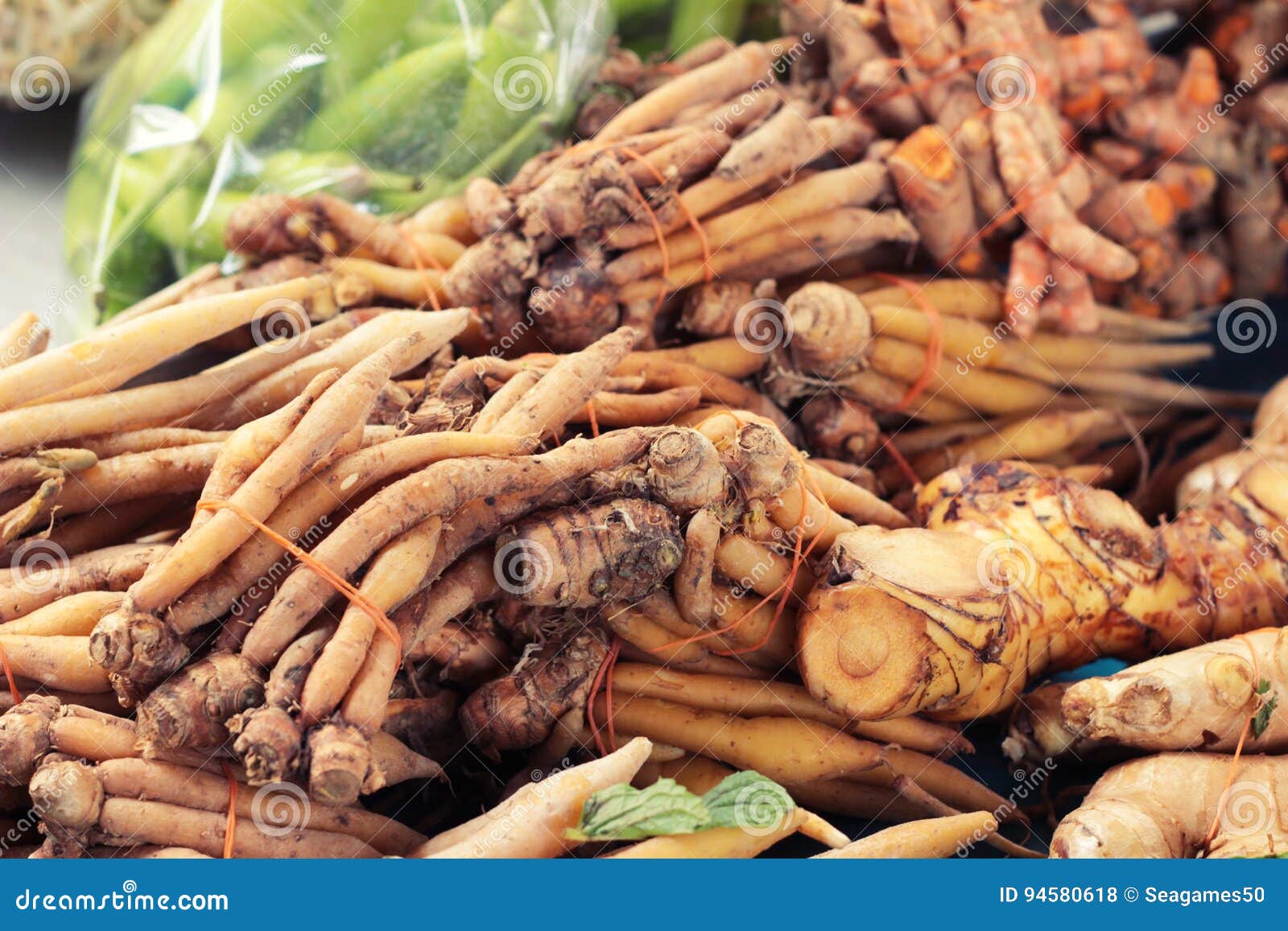 Finger Root and Ginger in the Market. Stock Photo - Image of flavor ...