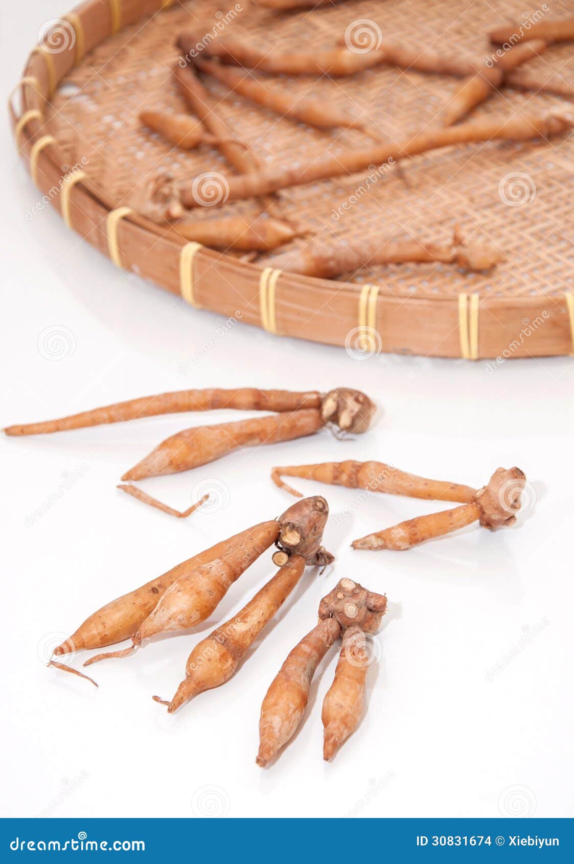 Finger root herb stock photo. Image of ripe, cuisine - 30831674