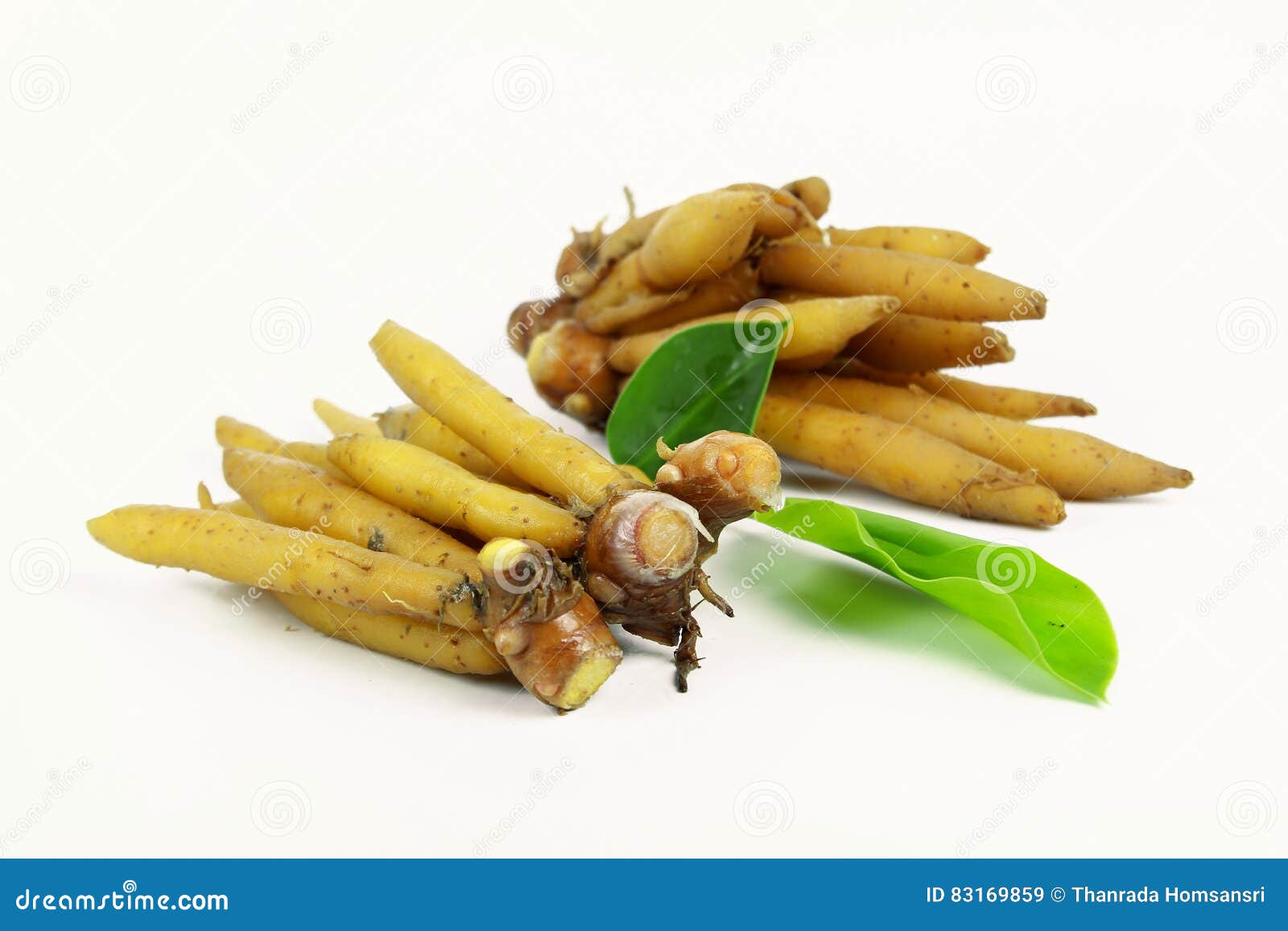Finger Root Ingredients for Thai Cuisine Stock Image - Image of rotunda ...