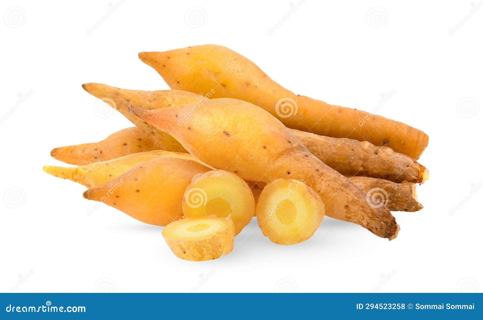 Finger Root With Fresh Andrographis Paniculata Stock Image ...