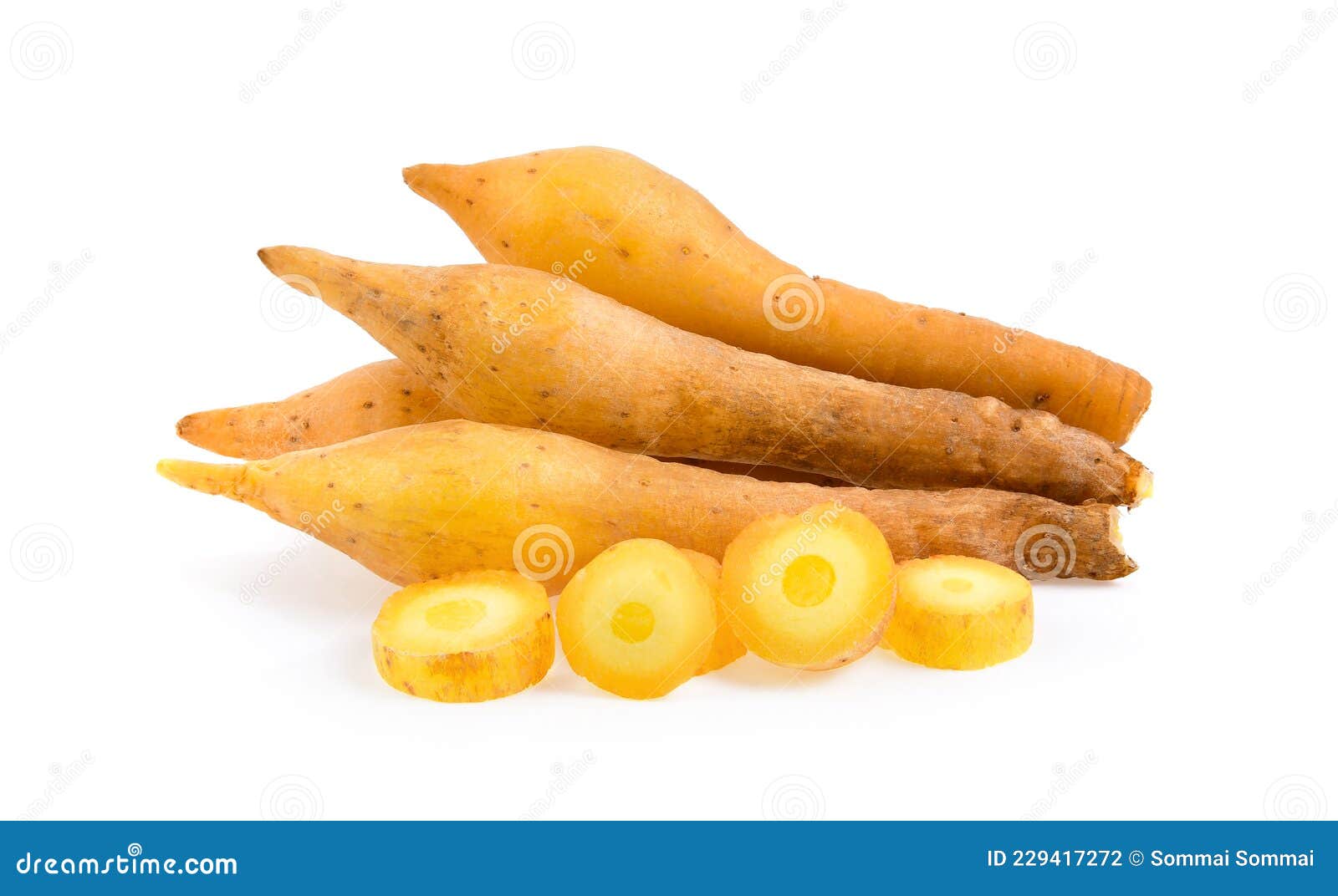 Finger Root Or Chinese Ginger Boesenbergia Rotunda A Medicinal And ...