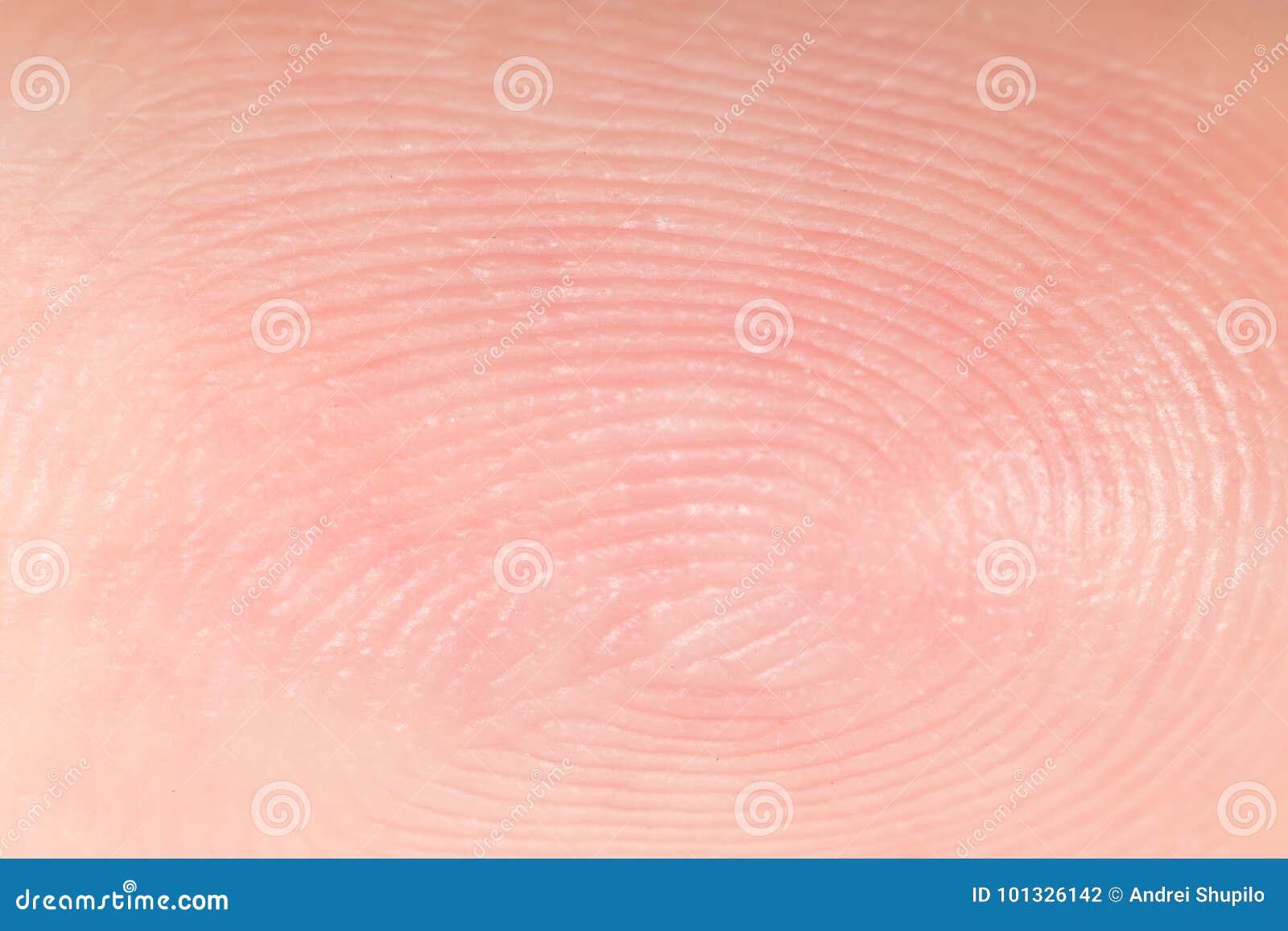 Finger super macro stock photo. Image of hand, biometric - 101326142
