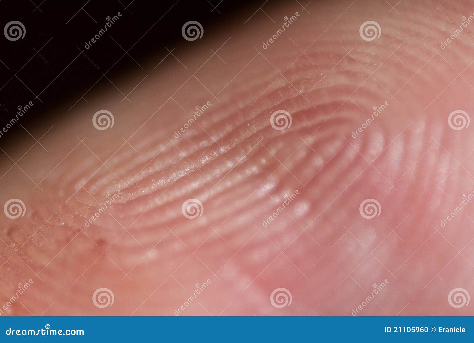 Finger tip stock photo. Image of human, magnify, finger - 21105960
