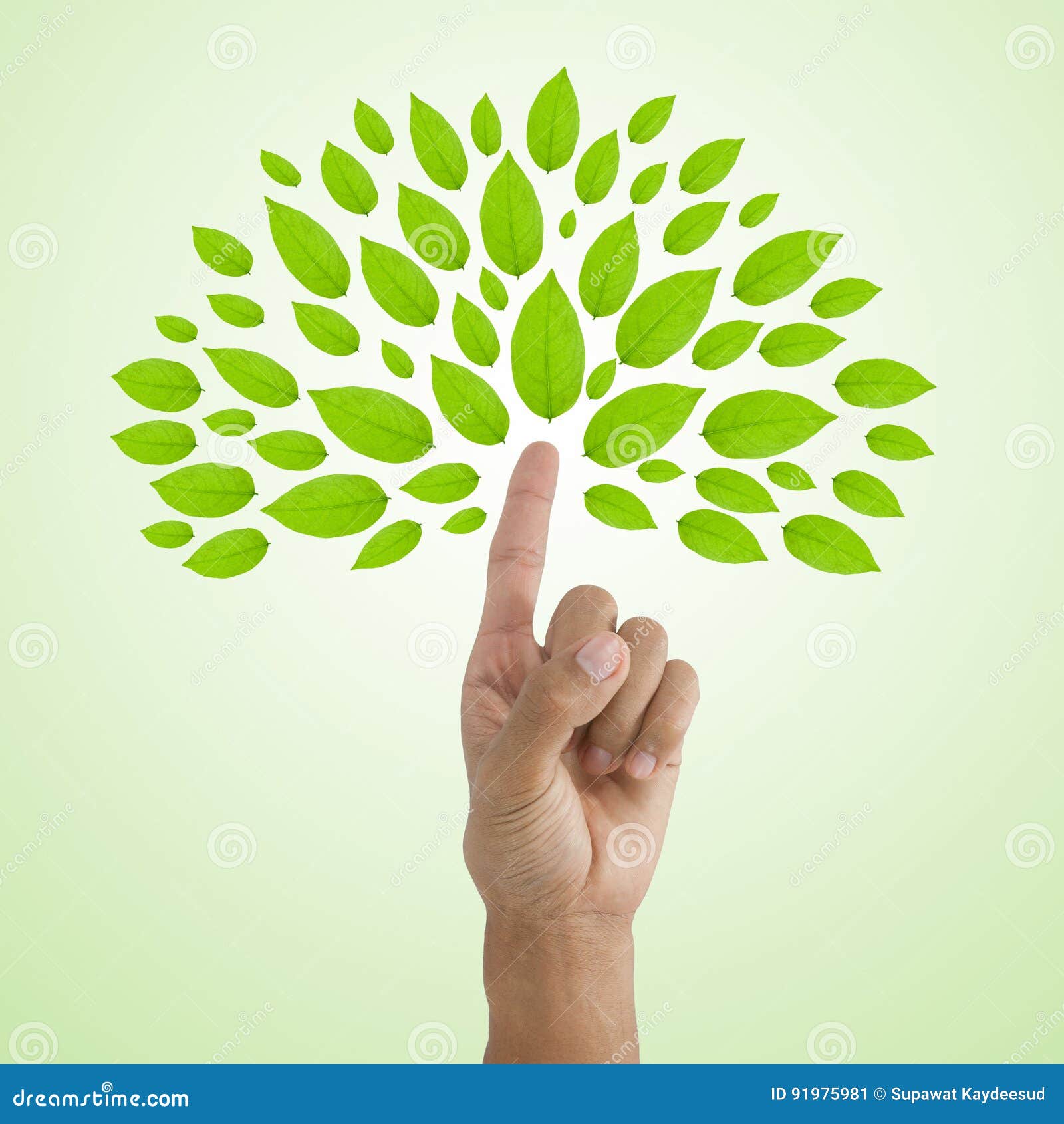 Finger tree stock image. Image of industry, environmentally - 91975981