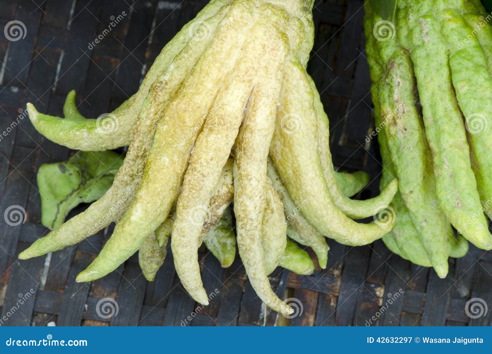 Fingered Citron or Buddha Hands. Stock Image - Image of lemon ...